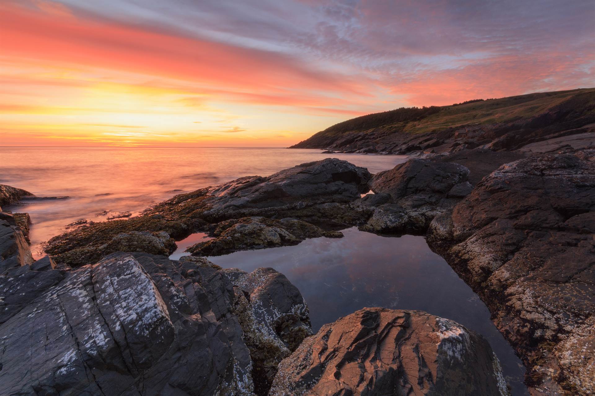 Our Programs | Newfoundland International Student Education Program